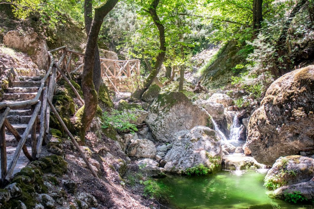 Butterfly Valley Petaloudes | Rhodes Guide | Manos Going